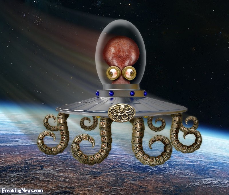 Space Octopus/Star Fish – THE PAGE TURNS