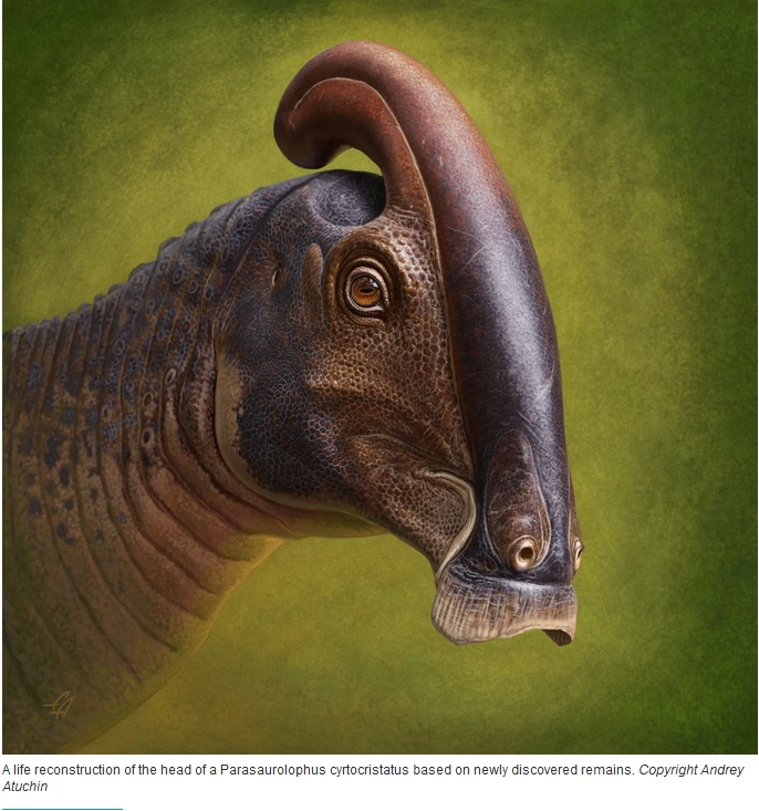 P is for Parasaurolophus – THE PAGE TURNS
